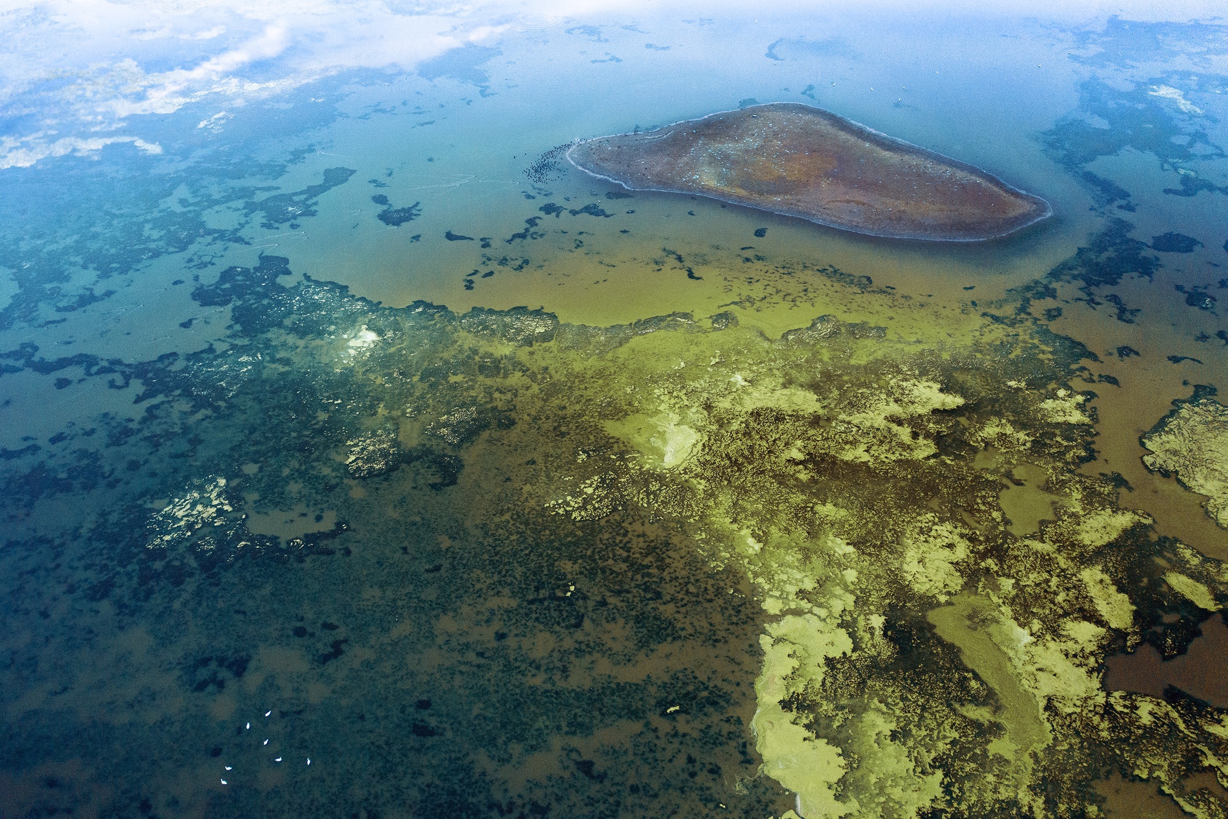 GeoScene3d: Made for geologists by geologists